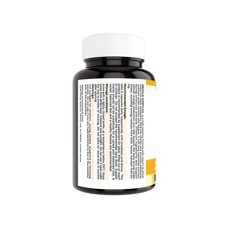 MEGA B COMPLEX – oxyenergy